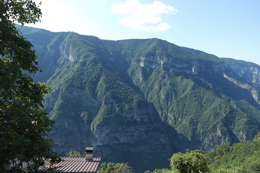 Agenzia immobiliare Millepini - case ville chalet terreni di montagna ...